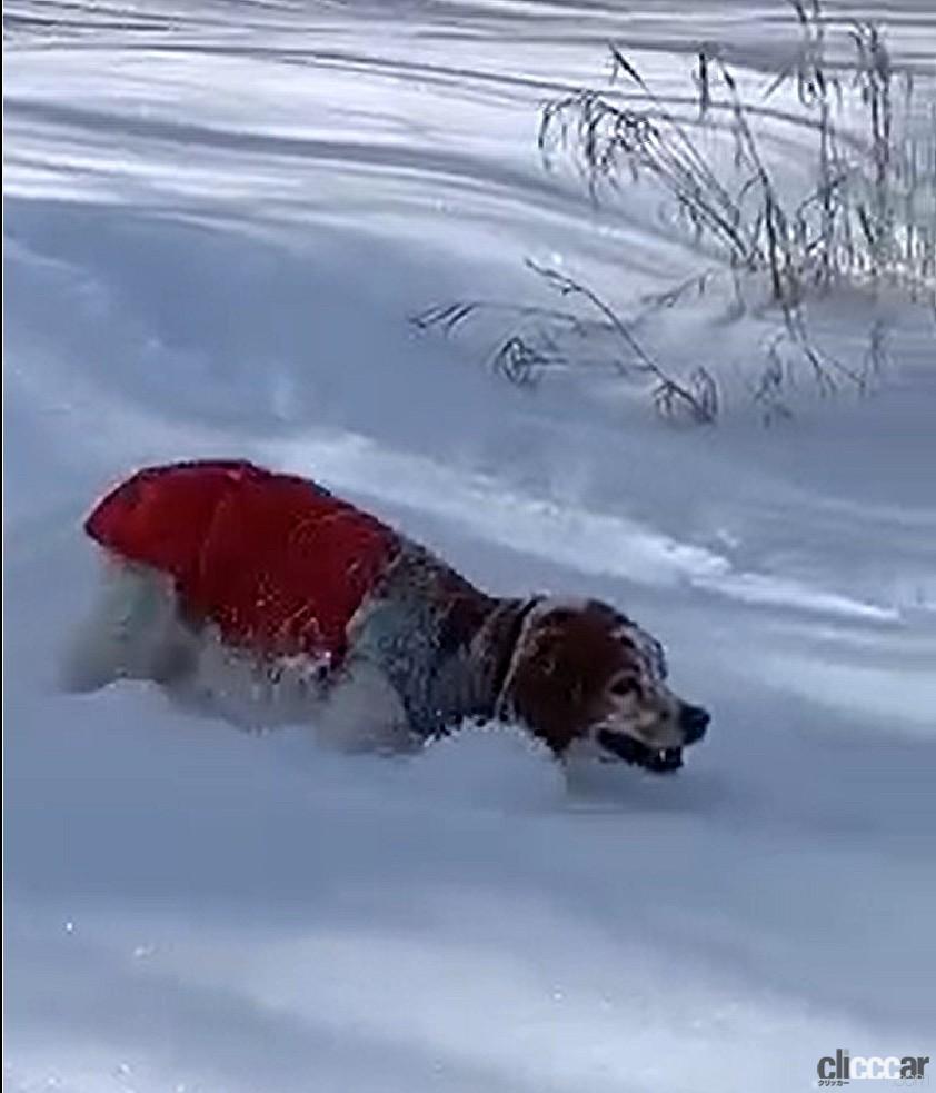 KazuoShimizu_snow_31 画像｜清水和夫が日本車の電子制御方法に喝を入れる!?日産「エクストレイル」「アリア」「フェアレディZ ...